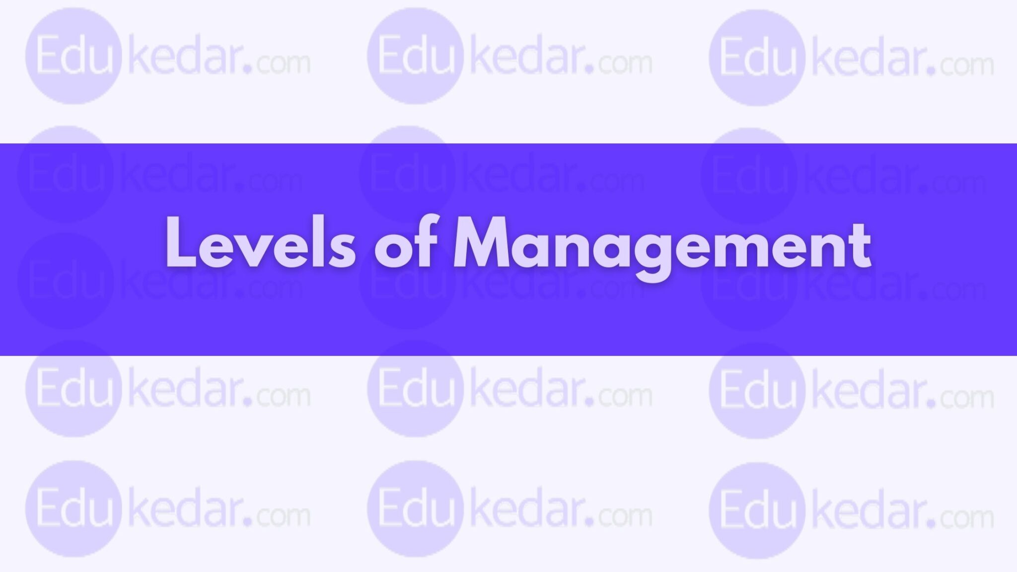 Levels of Management: 3 Functional Area & Types of Managers