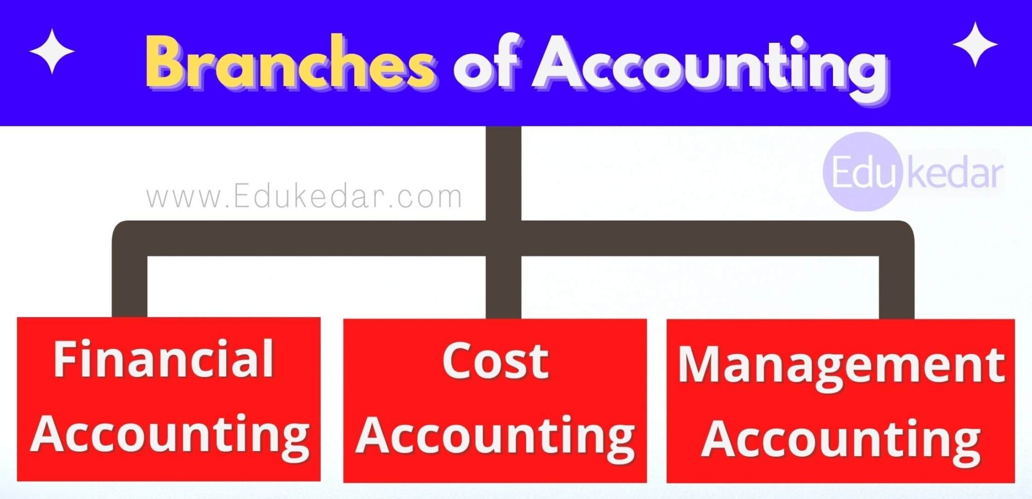 Basics of Accounting - Definition, Objective, Scope, Process & Advantages