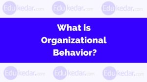 What is Organizational Behavior? Meaning, Definition, Models