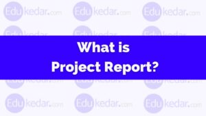 What is Project Report? Format, Objective, Content, Characteristic