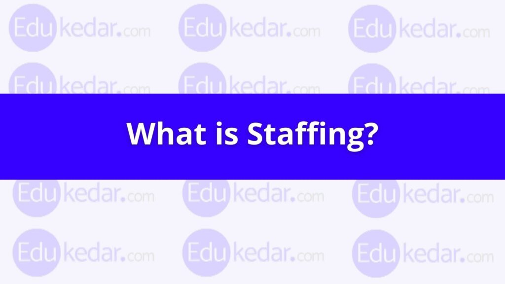 What is Staffing in Management? Meaning, Definition, Process