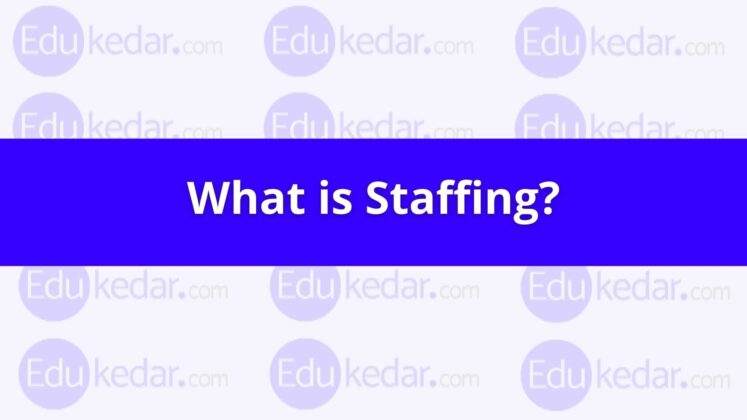 What is Staffing in Management? Meaning, Definition, Process
