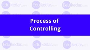 Process of Controlling in Management: Steps Explained with Examples