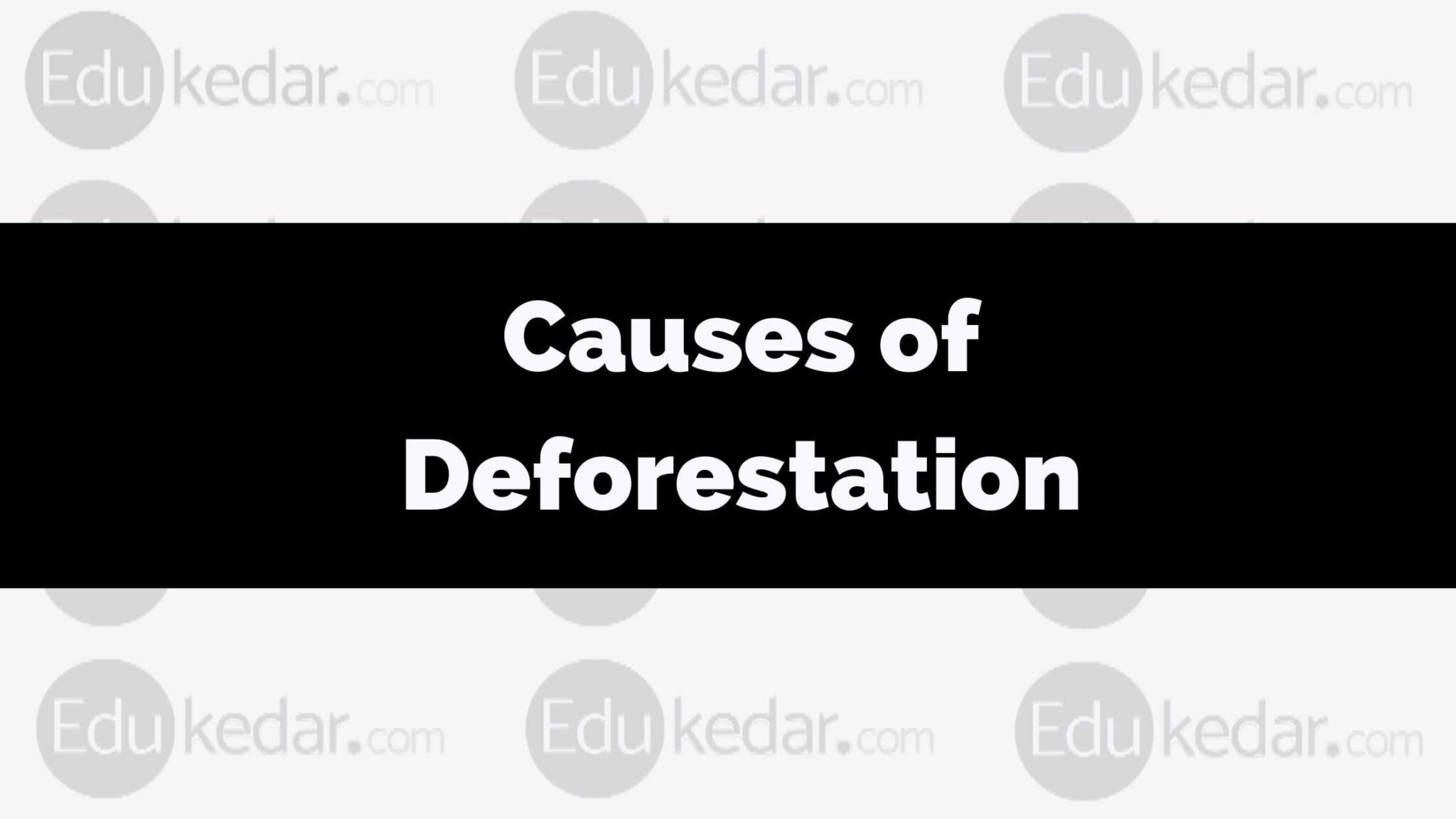 Causes of Deforestation: Meaning, Reason & Effects on Environment