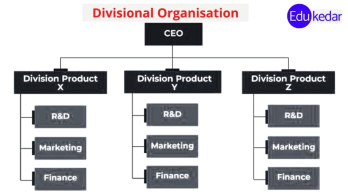 What is Project Organization? Form, Types, Line, Divisional, Matrix
