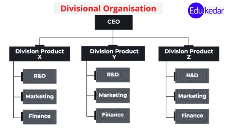 What is Project Organization? Form, Types, Line, Divisional, Matrix