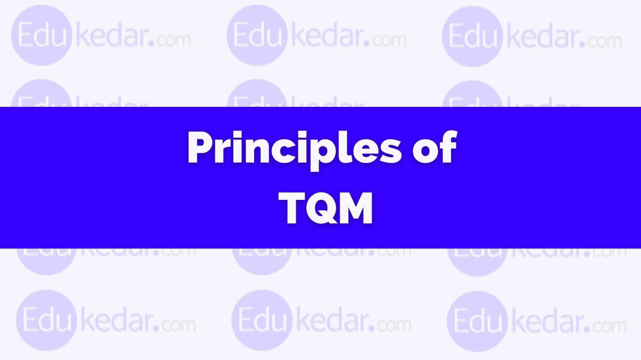 Principles of TQM: 8 Total Quality Management Principle, Customer Focus