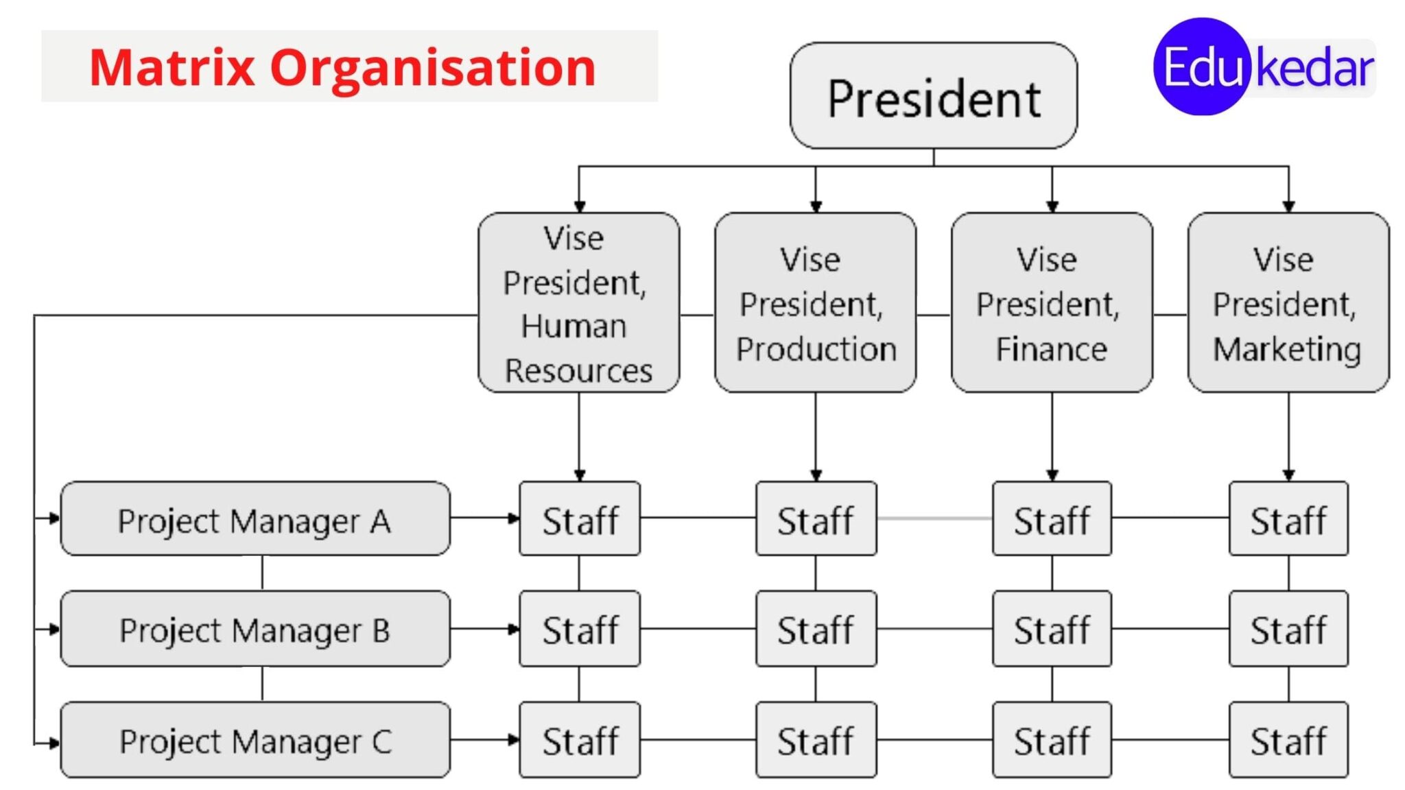 What is Project Organization? Form, Types, Line, Divisional, Matrix