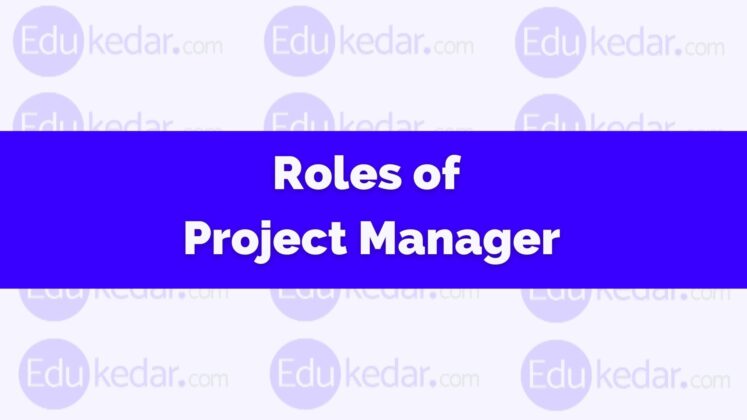 Roles and Responsibilities of Project Manager: Functions, Key Roles, Skills