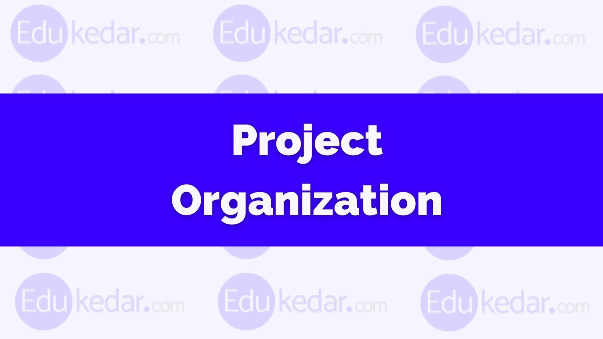 What is Project Organization? Form, Types, Line, Divisional, Matrix