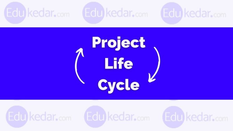 What is Project Life Cycle? Meaning, 5 Stages & Phases (with Examples)