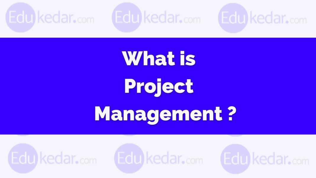 What is Project Management? Meaning, Objective, Importance, Principles