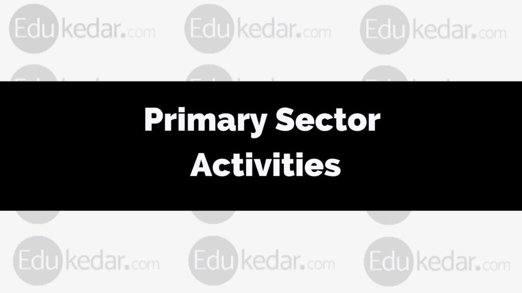 What are Primary Sector Activities? in Economy: Meaning, Example