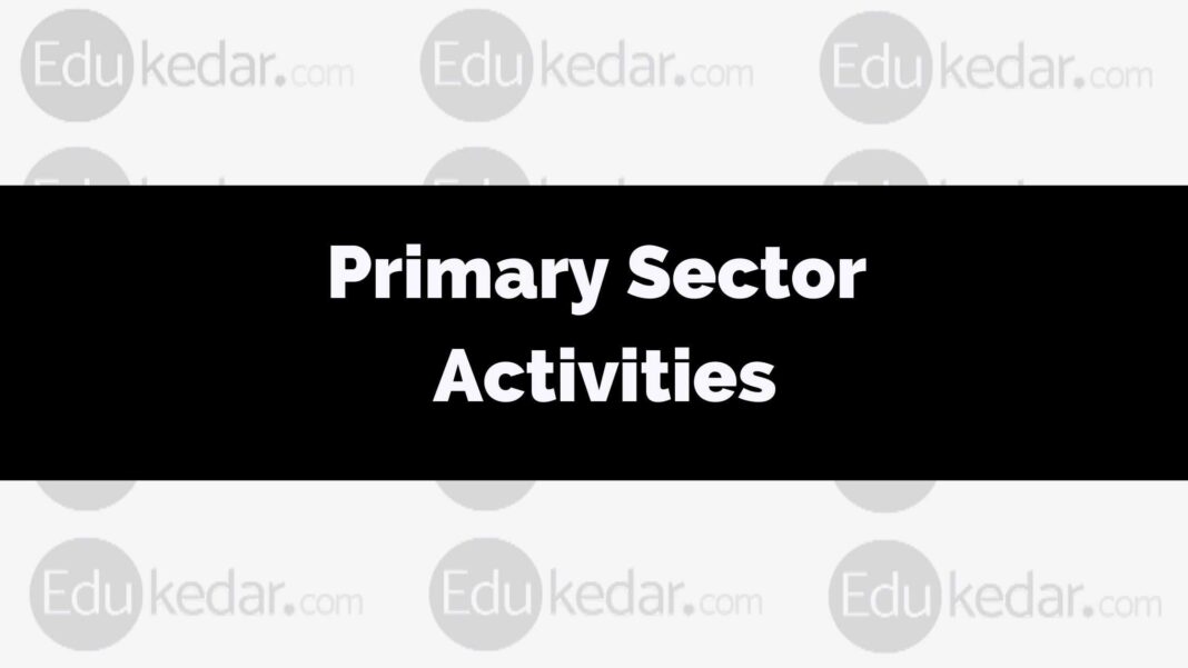 What are Primary Sector Activities? in Economy: Meaning, Example