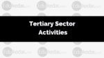 What are Tertiary Sector Activities? Meaning, Define, Examples