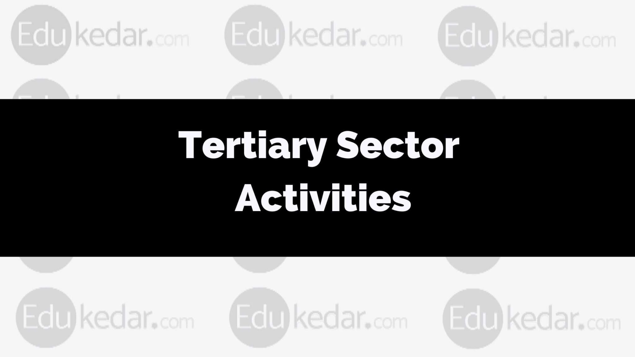 What are Tertiary Sector Activities? Meaning, Define, Examples
