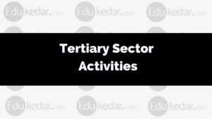 What are Tertiary Sector Activities? Meaning, Define, Examples