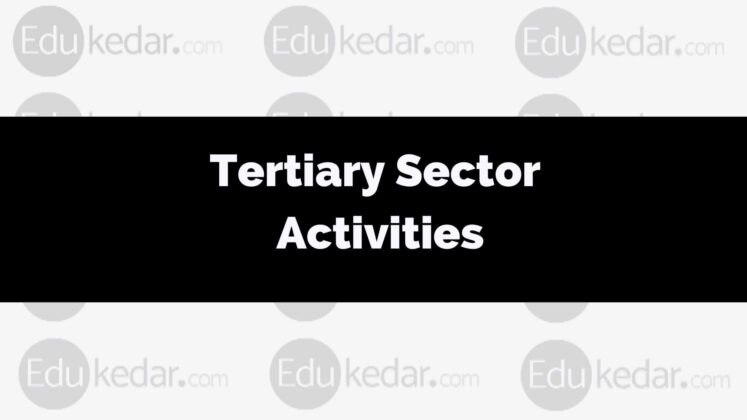 What are Tertiary Sector Activities? Meaning, Define, Examples