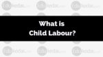 What is Child Labour? Meaning, Definition, Causes, Effects, Types