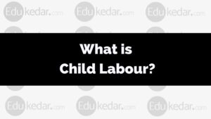 What is Child Labour? Meaning, Definition, Causes, Effects, Types