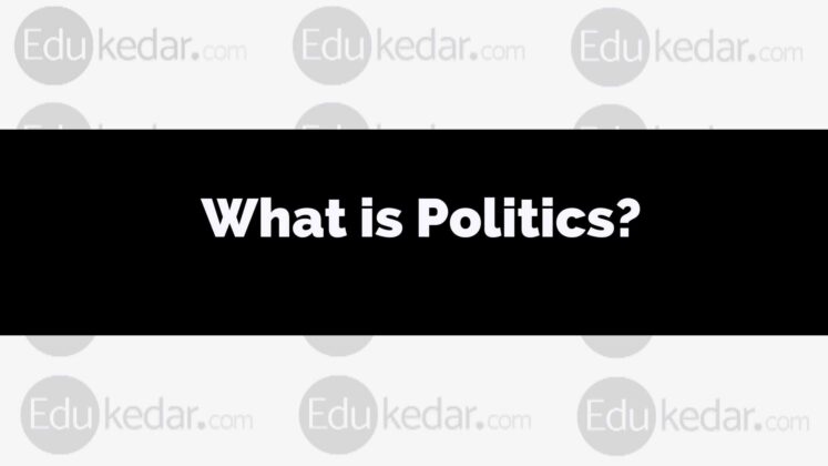 What is Politics? Meaning, Definition, Types, and Reasons