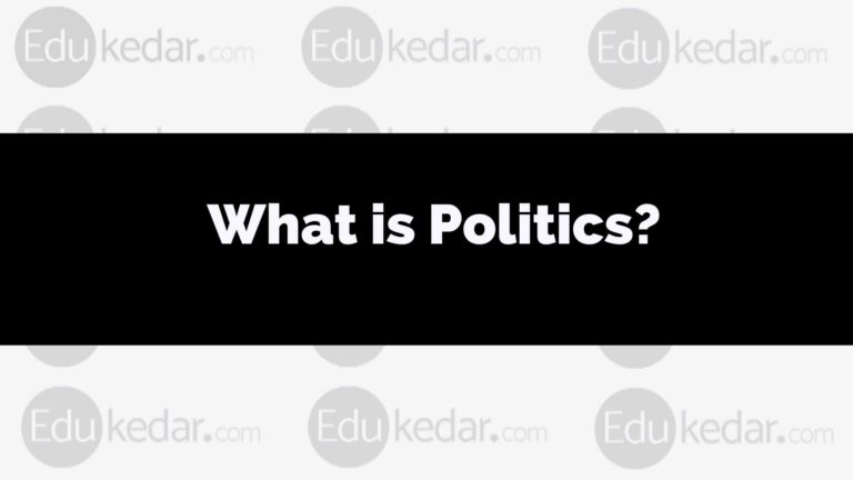 What is Politics? Meaning, Definition, Types, and Reasons
