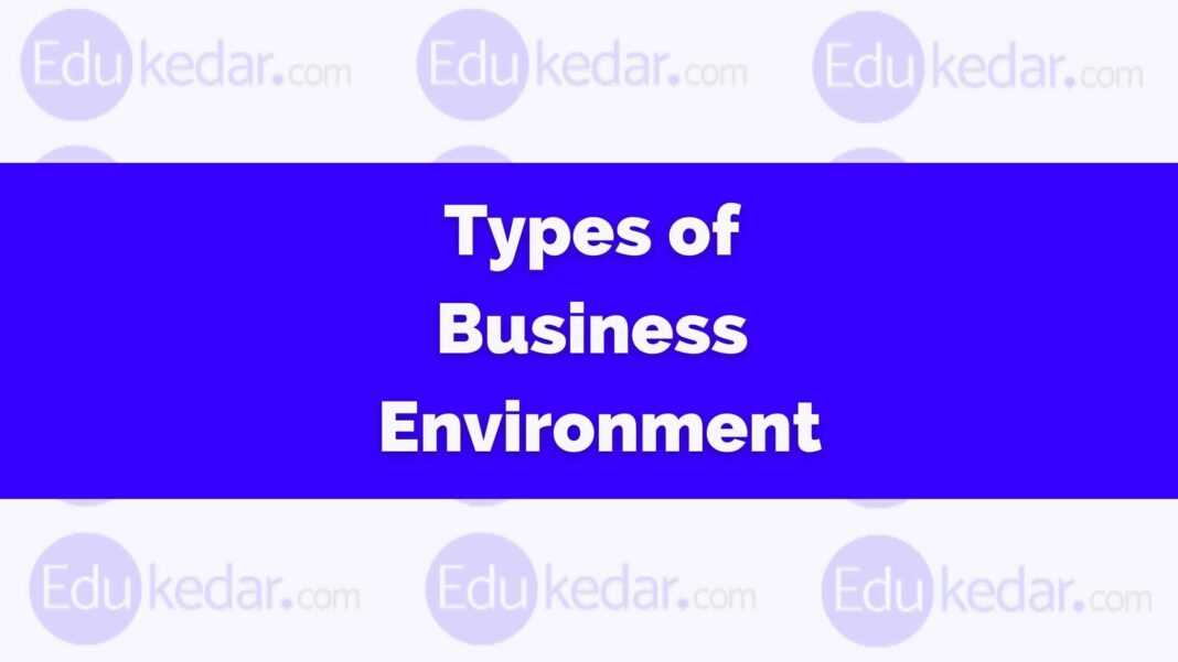 Types of Business Environment: Internal, External (Micro, Macro)