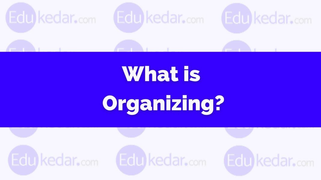 What is Organizing in Management: Meaning, Definition, Process