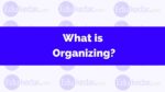 What is Organizing in Management: Meaning, Definition, Process