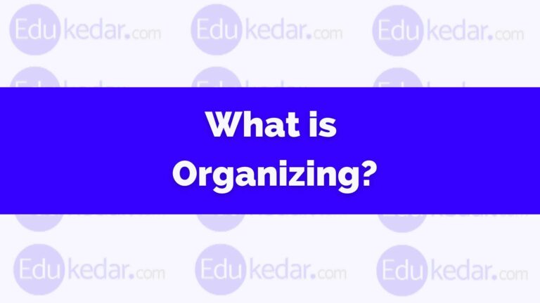 What is Organizing in Management: Meaning, Definition, Process