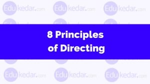 8 Principles of Directing in Management, Meaning Explained