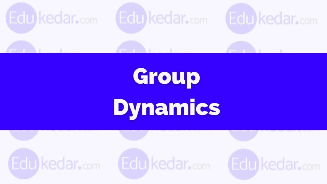 What is Group Dynamics? Meaning, Define, Types, Importance