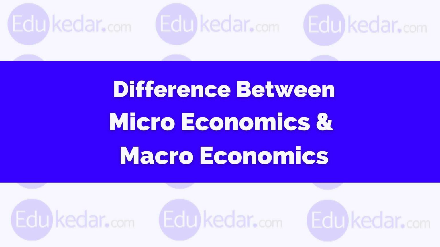 Difference between Micro and Macro Economics (with Examples)