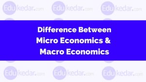Difference between Micro and Macro Economics (with Examples)