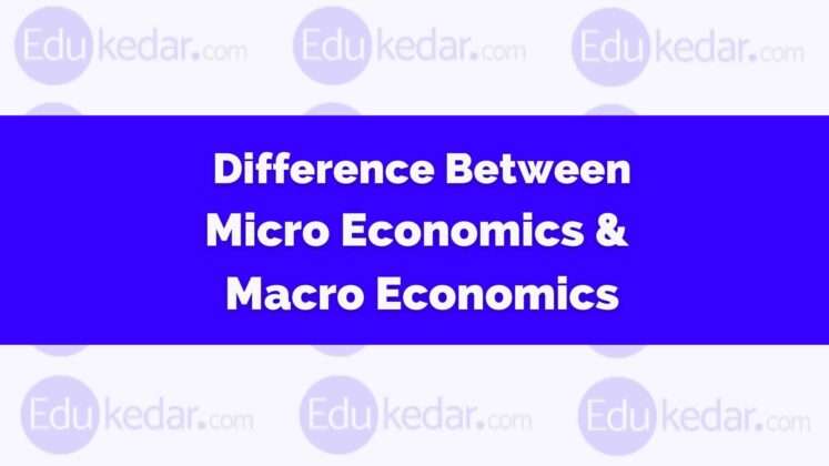 Difference between Micro and Macro Economics (with Examples)
