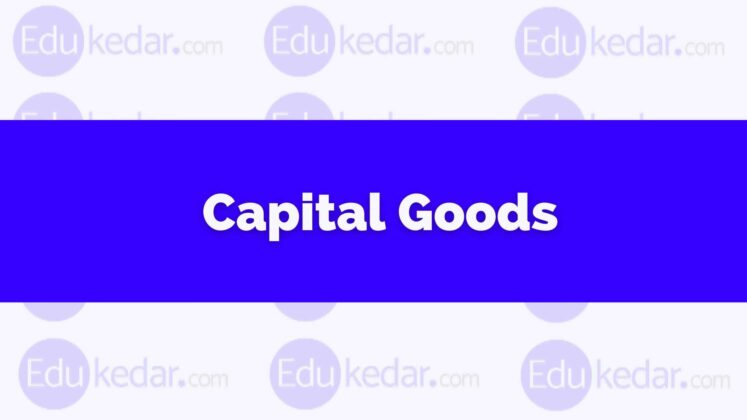 What are Capital Goods? Meaning, Define, Examples in Economics