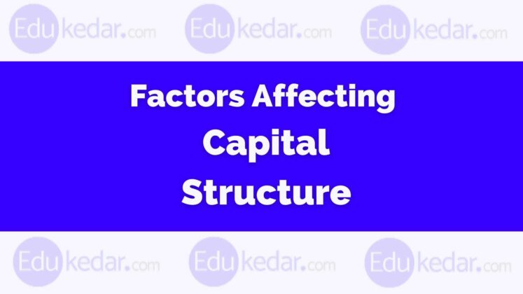 Factors Affecting Capital Structure: Cost of Financing, Debt Risk