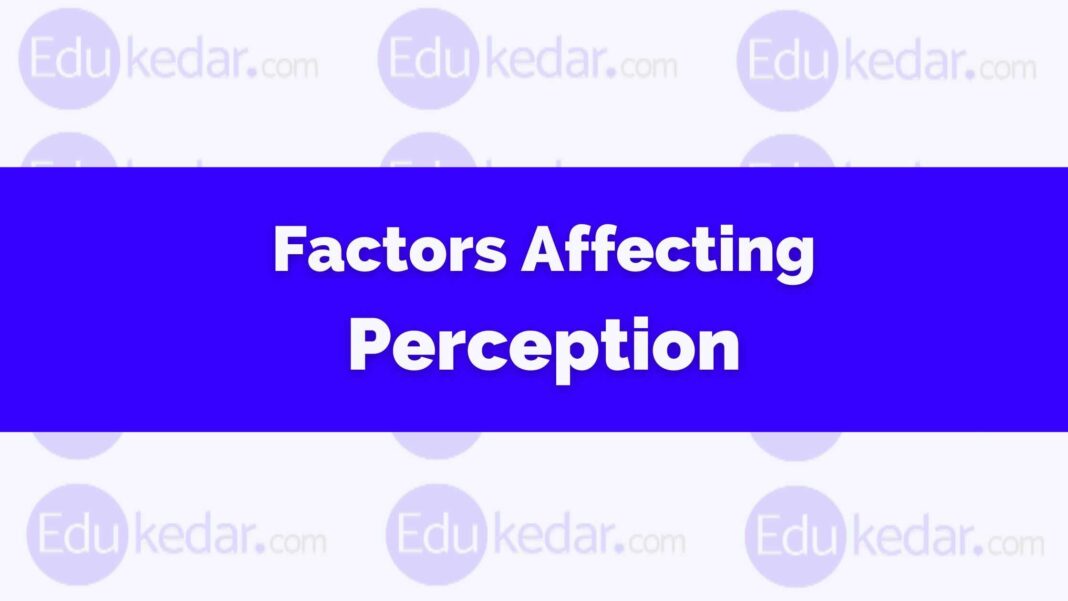 Factors Influencing Perception: Perceiver, Target, Situation