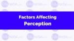 Factors Influencing Perception: Perceiver, Target, Situation