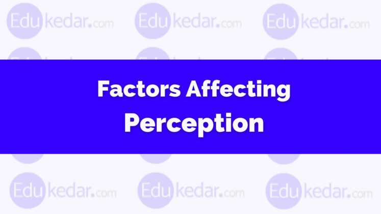 Factors Influencing Perception: Perceiver, Target, Situation